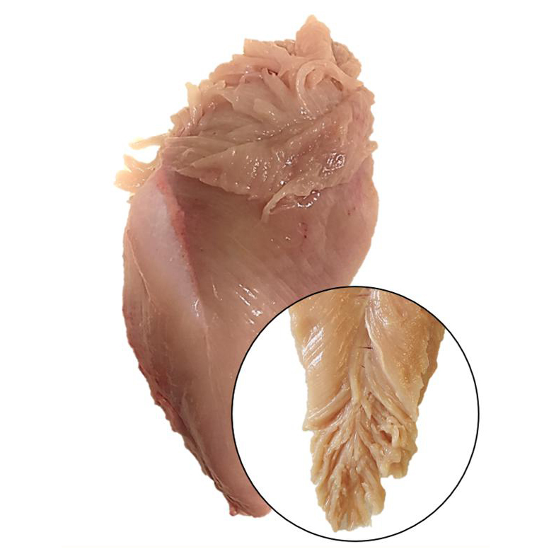 Better Chicken Do you eat chicken and care about animal welfare?